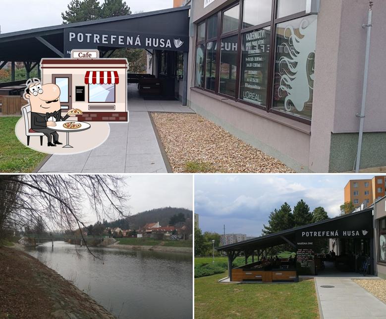Potrefená Husa, Brno - Restaurant menu, prices and reviews