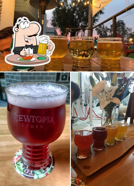 Newtopia Cyder in San Diego - Restaurant reviews