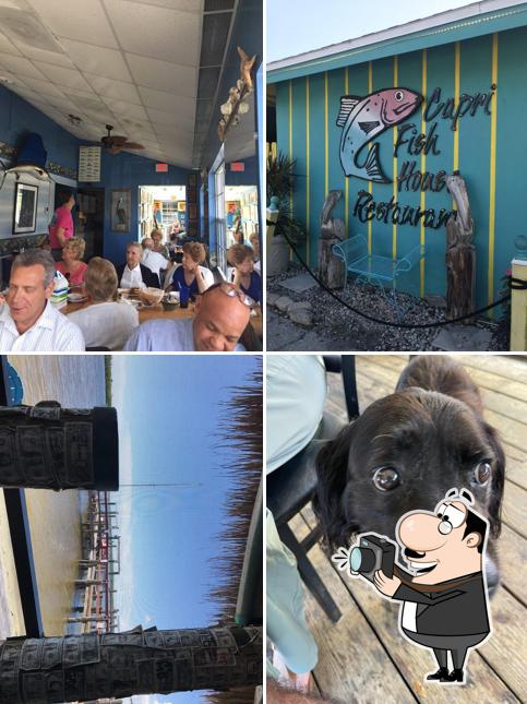 Restaurante Capri Fish House, Marco Island, 203 Capri Blvd - Carta del ...
