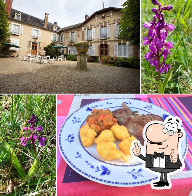 Le Castel, Mailly-le-Château - Menu du restaurant, prix et avis
