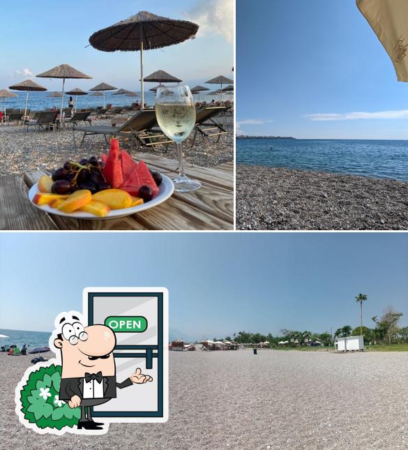 Roxy beach club, Анталья - Отзывы о ресторане