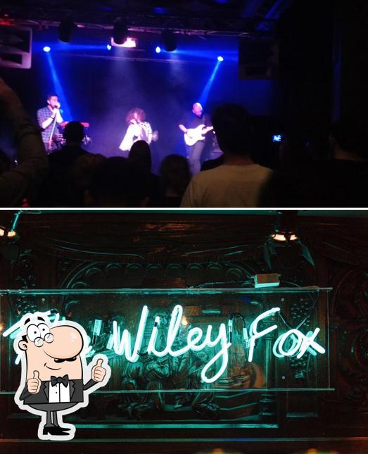 The Wiley Fox in Dublin - Restaurant reviews