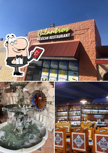 Cilantro's Grill & Cantina in Robinson - Restaurant menu and reviews