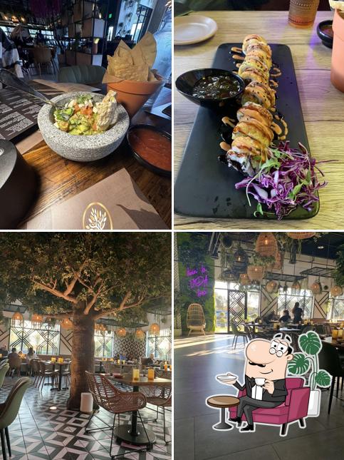 Vida Cocina & Tequila, Altamonte Springs - Restaurant menu, prices and ...