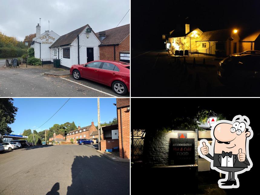 The Dog at Dunley, Stourport-on-Severn - Restaurant menu, prices and ...