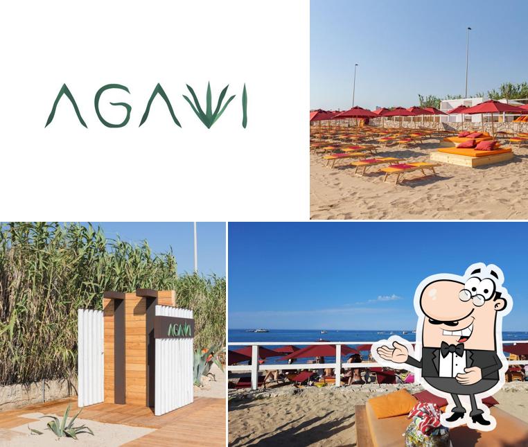 Agavi Beach ristorante, Capitolo - Menu e recensioni del ristorante