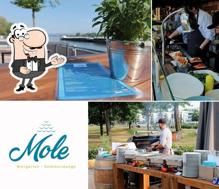 Mole Biergarten Sommerlounge cafe, Mainz - Restaurant reviews
