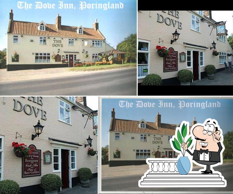 The Dove Inn Poringland, Dove Public House, Bungay Rd in Norwich ...