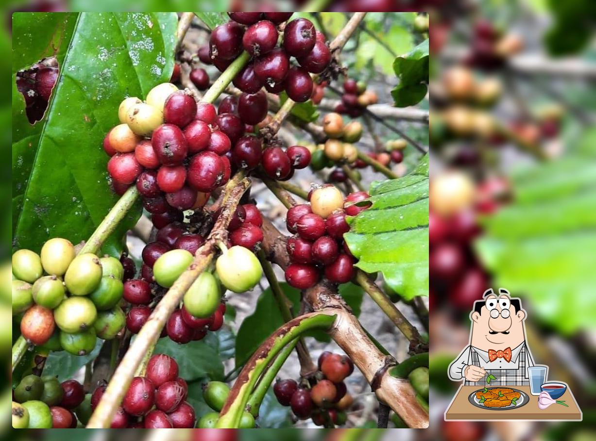 Robusta coffee green beans shops., Bangkok - Restaurant menu, prices ...
