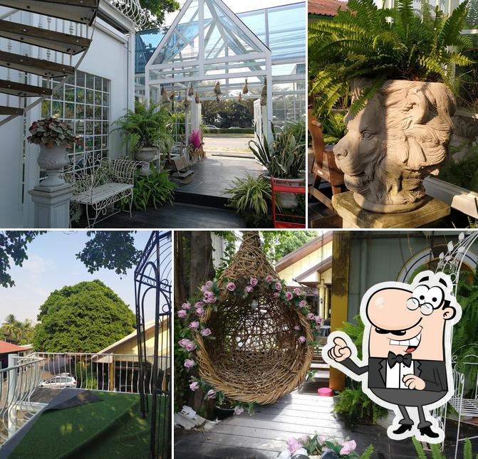 Tree Wings Coffee shop, Bangkok - Restaurant reviews