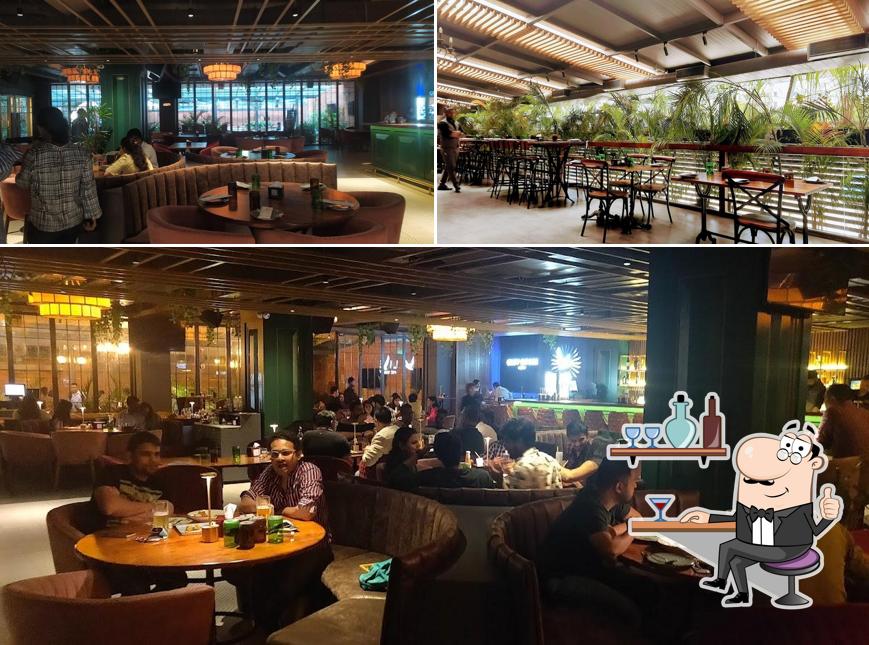 Gawky Goose, Bengaluru - Restaurant menu, prices and reviews