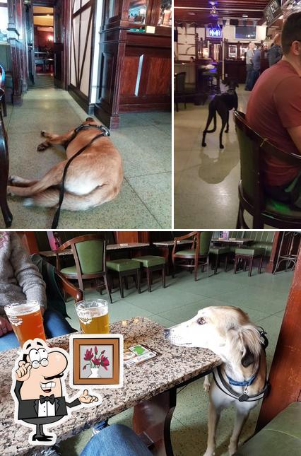 The Four Provinces Brew Pub, Dublin - Restaurant menu, prices and reviews