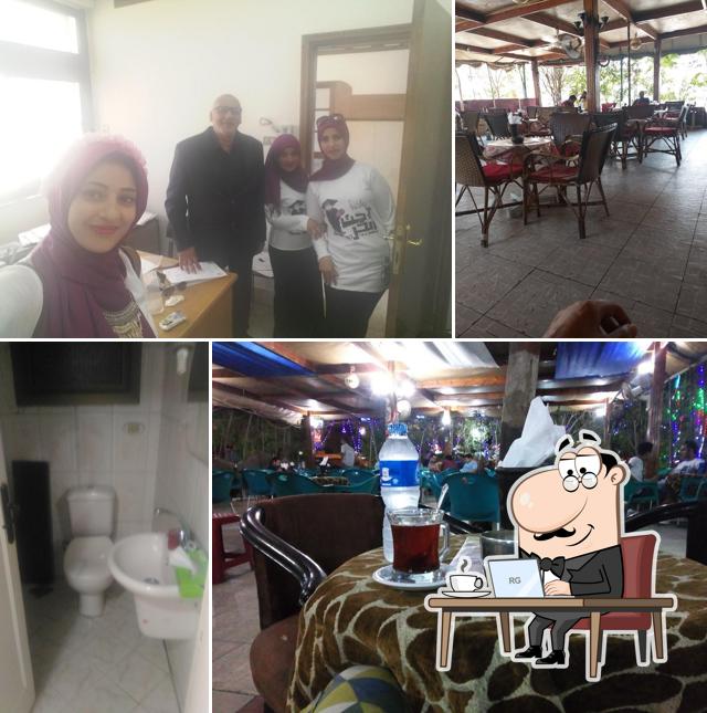 Ferrari Cafe, New Cairo City, 29W2+GCW - Restaurant reviews