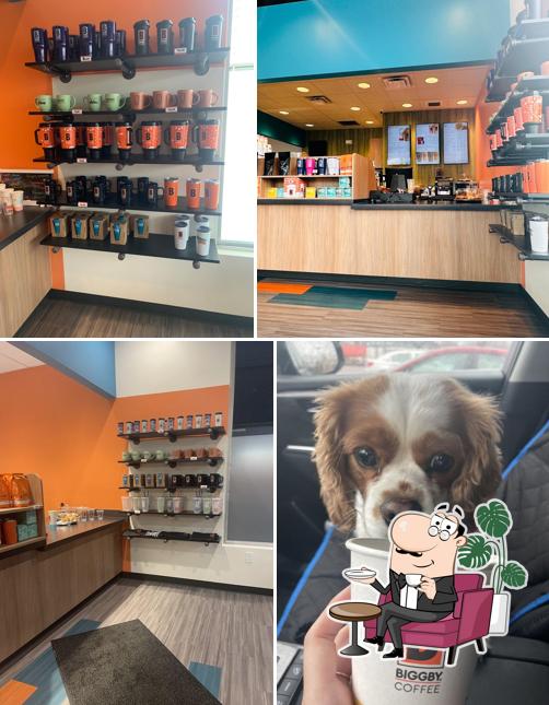 Top 5 restaurants in Saint Bernard, june 2025 - Restaurant Guru