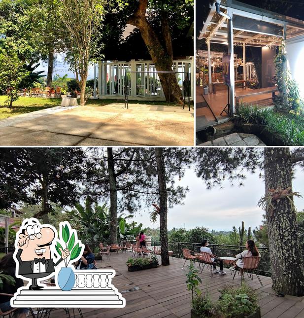 Edelweiss Tea & Coffee House, Bandung - Restaurant reviews