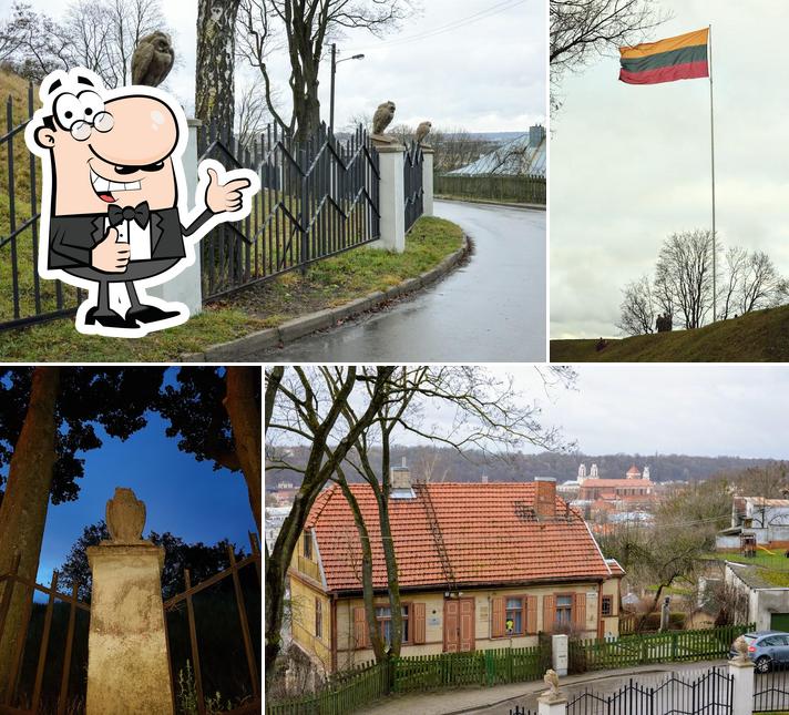 Pelėdų kalnas, A. Simonavičienės projektavimo biuras, Kaunas ...