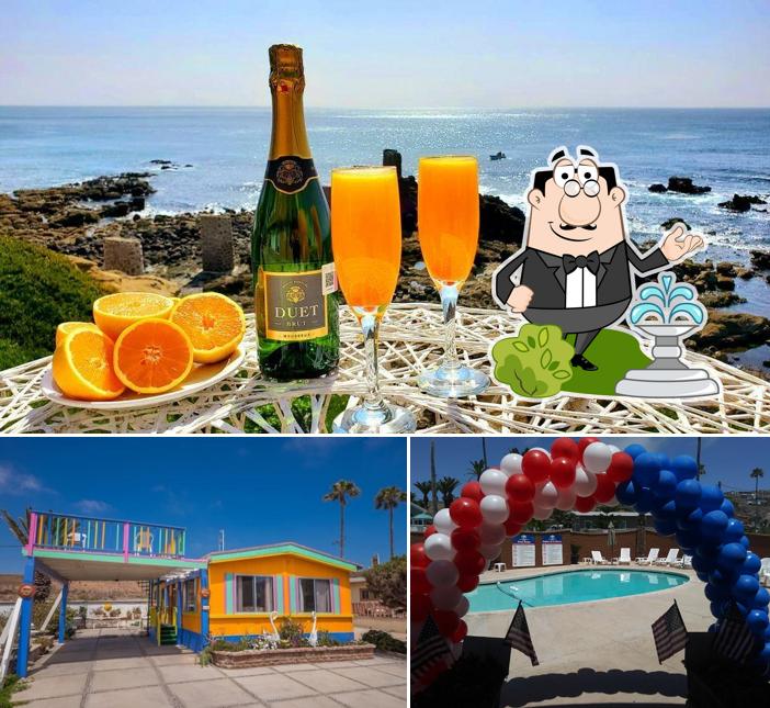 Popotla Restaurant & Bar, Rosarito - Menú del restaurante, precios y ...