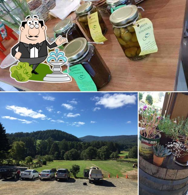 Toolangi Tavern, Toolangi - Restaurant menu, prices and reviews