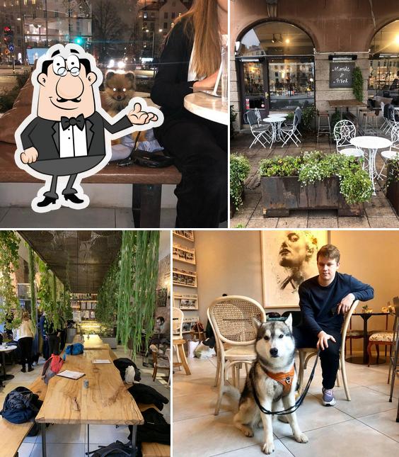 Ms Humble & Mr Frank cafe, Stockholm - Restaurant reviews