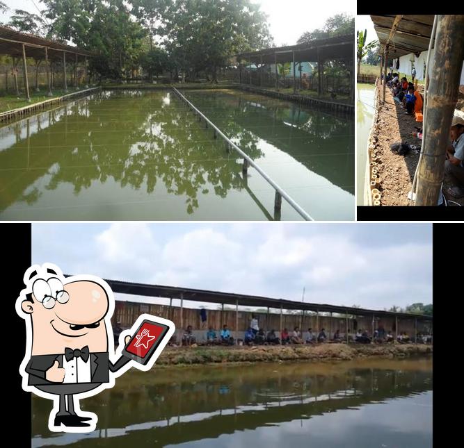 Pemancingan lele KANG UDIN pub & bar, Serang