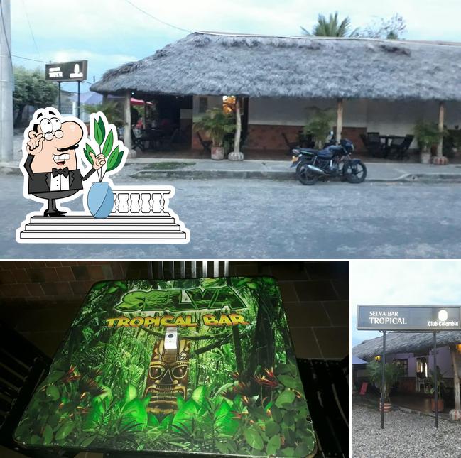 Selva Tropical Bar, Sabana de Torres