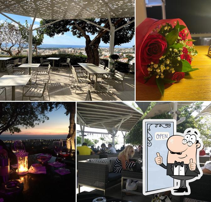 Muse, Paphos - Restaurant menu and reviews