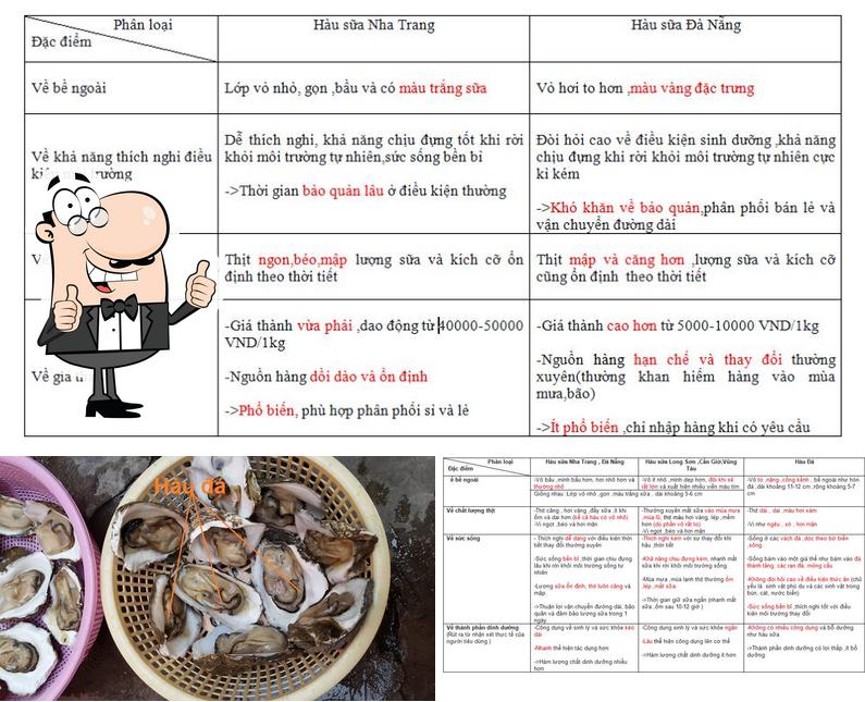 Cung Cấp Hàu Sữa Tươi Ngon-Bán Hào Sữa Giá Rẻ, Ho Chi Minh City ...