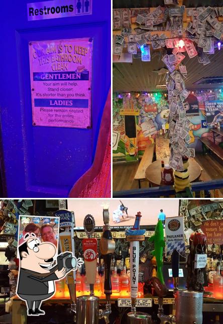Purple Parrot Grill Beach Haus & Biergarten, Rehoboth Beach ...