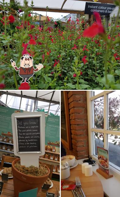 Aldridge, a Wyevale Garden Centre, Walsall - Restaurant menu, prices ...