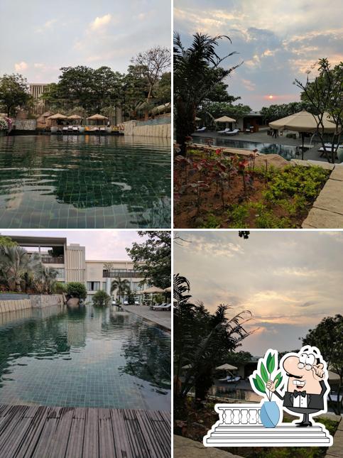 The Pool Bar - Restaurant menu, prices and reviews