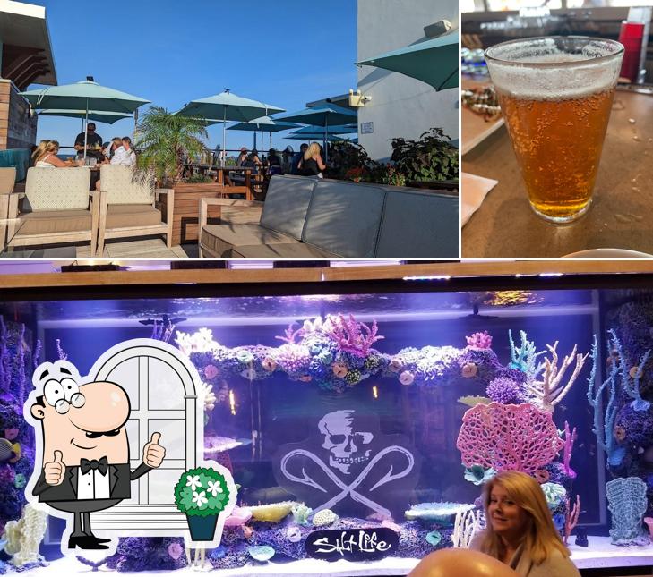 Salt Life Food Shack, Fernandina Beach - Restaurant menu, prices and ...