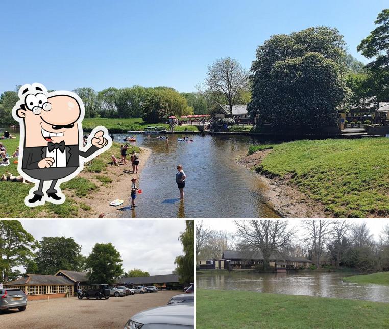 The Boatyard Dedham, Colchester - Restaurant menu, prices and reviews
