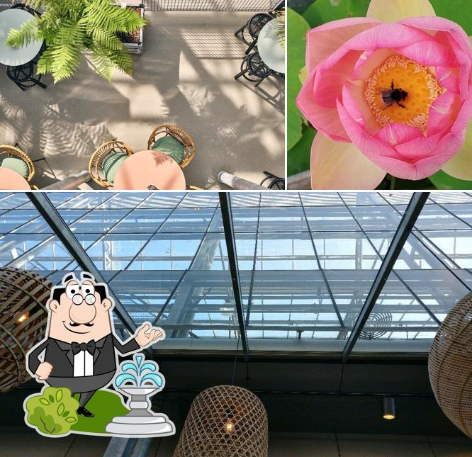 Hortus Grand Café, Leiden - Restaurant menu, prices and reviews