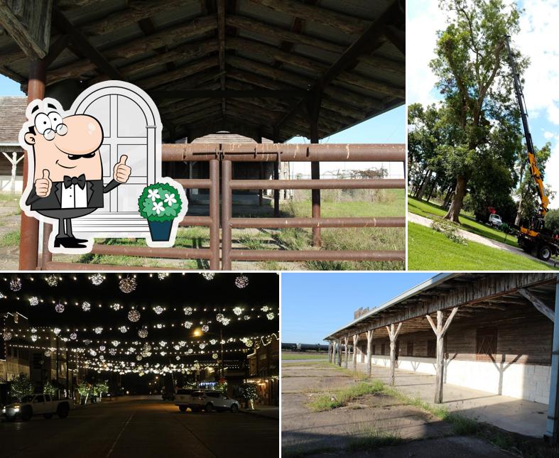 The Ice House of Rosenberg, Rosenberg - Restaurant menu, prices and reviews