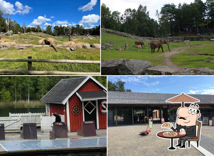 Borås Zoo, Borås - Restaurant menu, prices and reviews