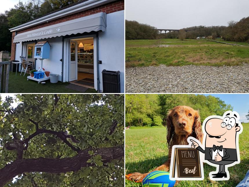Mrs Marcos Cafe, Porthkerry Park in Barry - Restaurant reviews