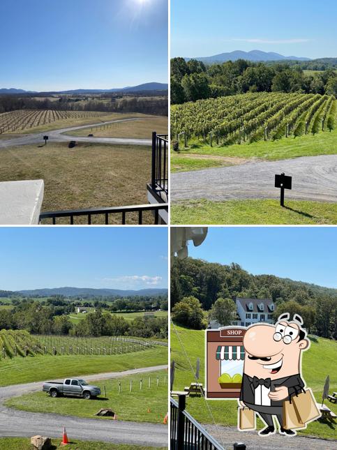 Top 4 restaurants with causa in Delaplane, february 2026 - Restaurant Guru