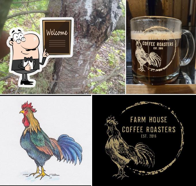 Farm House Coffee Roasters in Brewer - Restaurant reviews