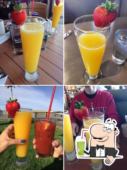 Waypoint Café Camarillo Airport in Camarillo - Restaurant menu and reviews