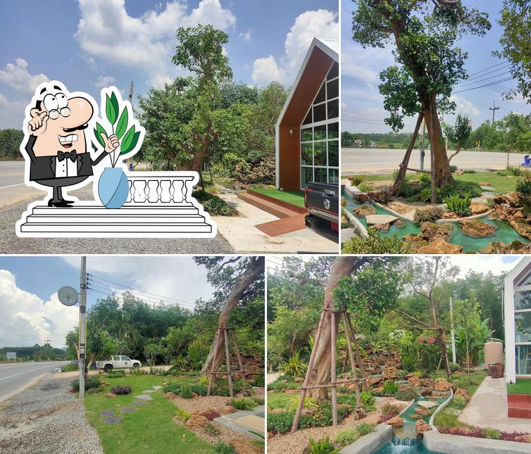 The Forest Cafe Rayong, Bang But - Restaurant menu, prices and reviews