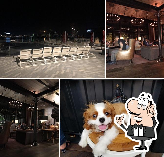 Sagamore Pendry Pool Bar, Baltimore - Restaurant menu, prices and reviews