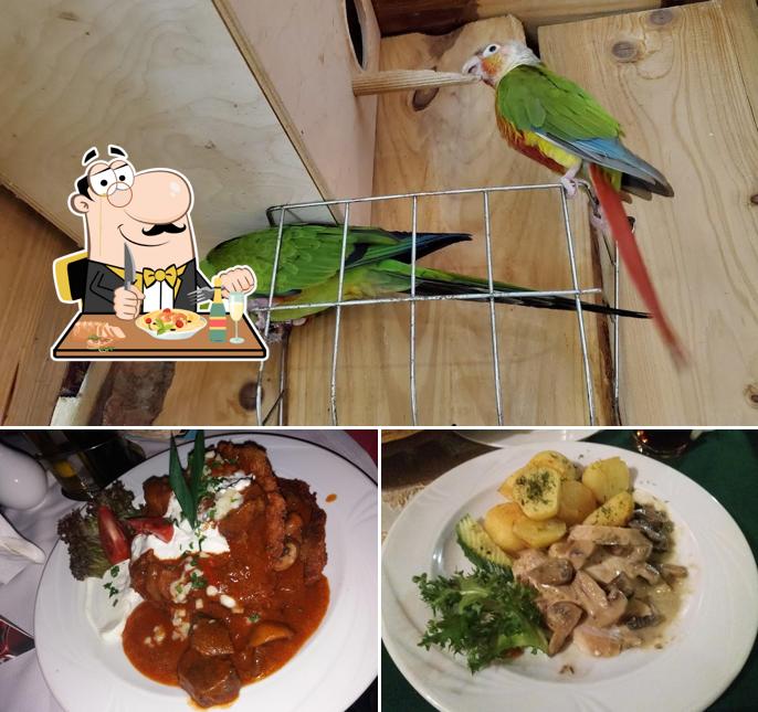 Magillo, Kraków - Restaurant menu, prices and reviews