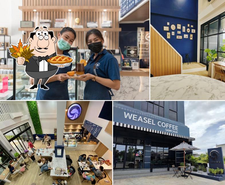 Café weasel coffee samchuk - กาแฟชะมด สาขาสามชุก, Sam Chuk - Opiniones del restaurante