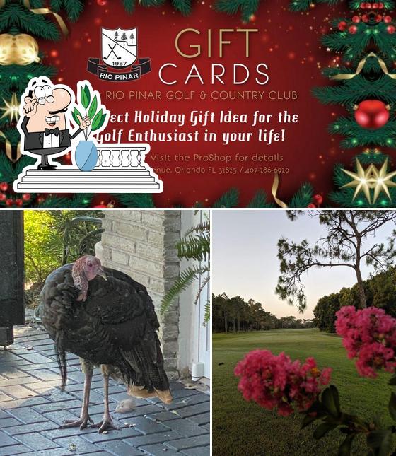 Rio Pinar Golf, Orlando - Restaurant menu, prices and reviews