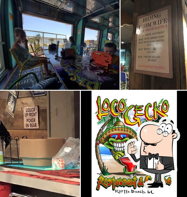 Loco Gecko, 2913 S Ocean Blvd in Myrtle Beach - Restaurant reviews