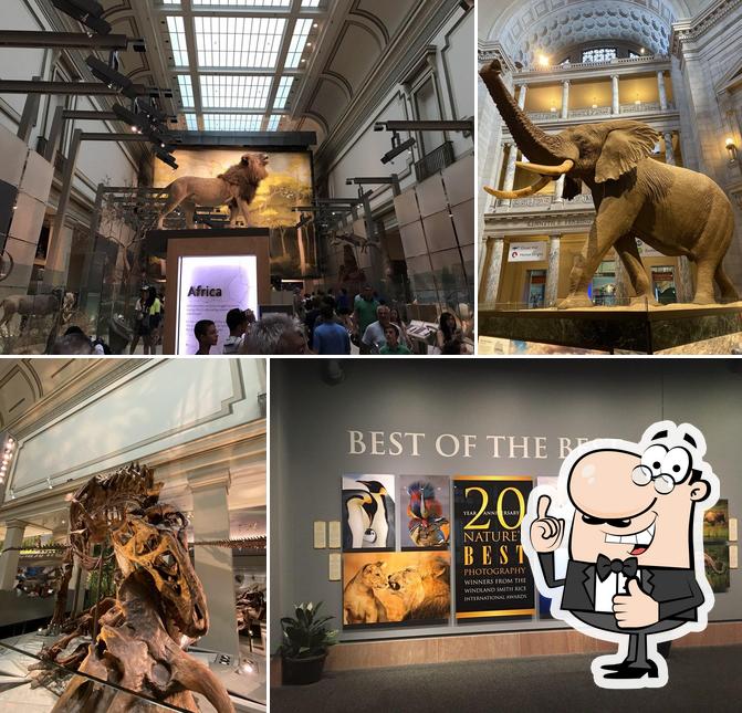 National Museum Of Natural History Cafe in Washington - Restaurant reviews