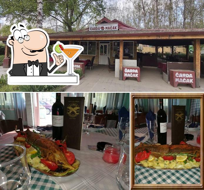 Riblji restoran Novi Sad Čarda Mačak restaurant, Novi Sad - Restaurant ...