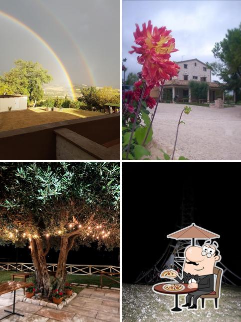 Farmhouse Il Rustico, Italy - Restaurant reviews