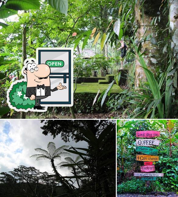 Abian Kusuma Sari Coffee Plantation - Restaurant menu, prices and reviews