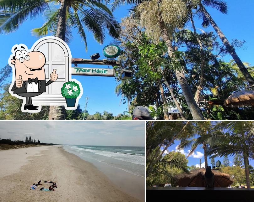 Treehouse Byron Bay in Byron Bay - Restaurant menu and reviews